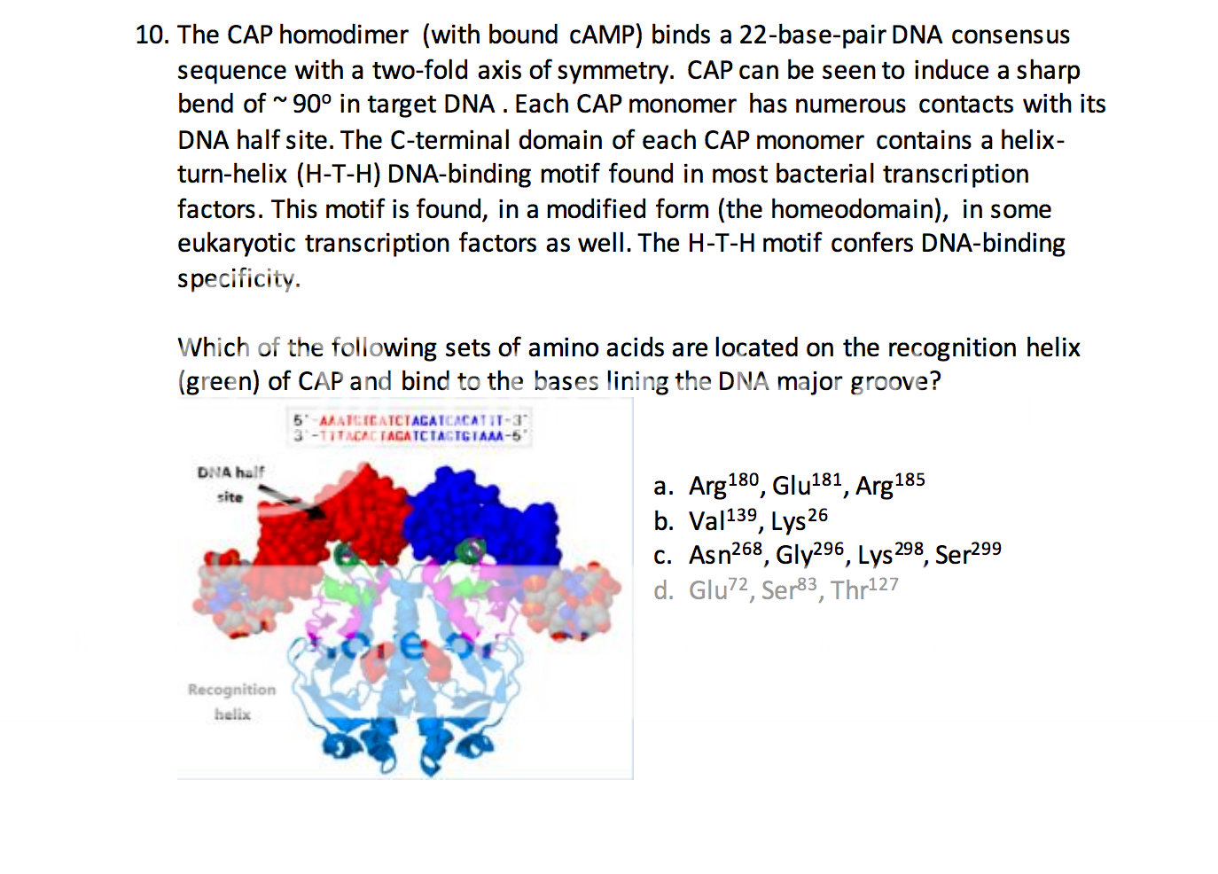 Solved The CAP homodimer (with bound cAMP) binds a | Chegg.com